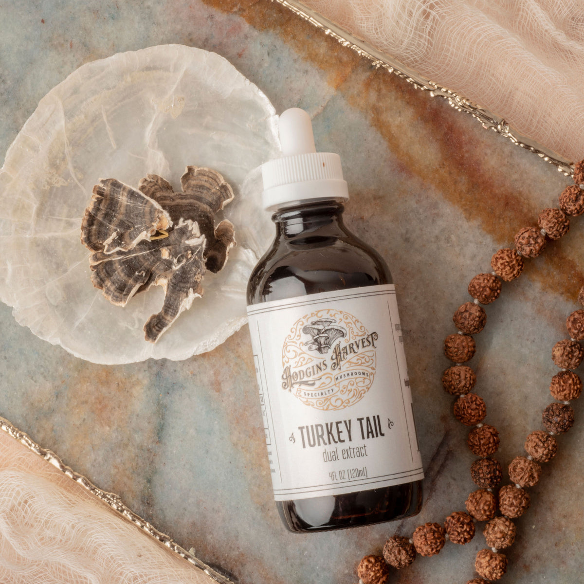 Turkey Tail Dual Extract Tincture – Hodgins Harvest